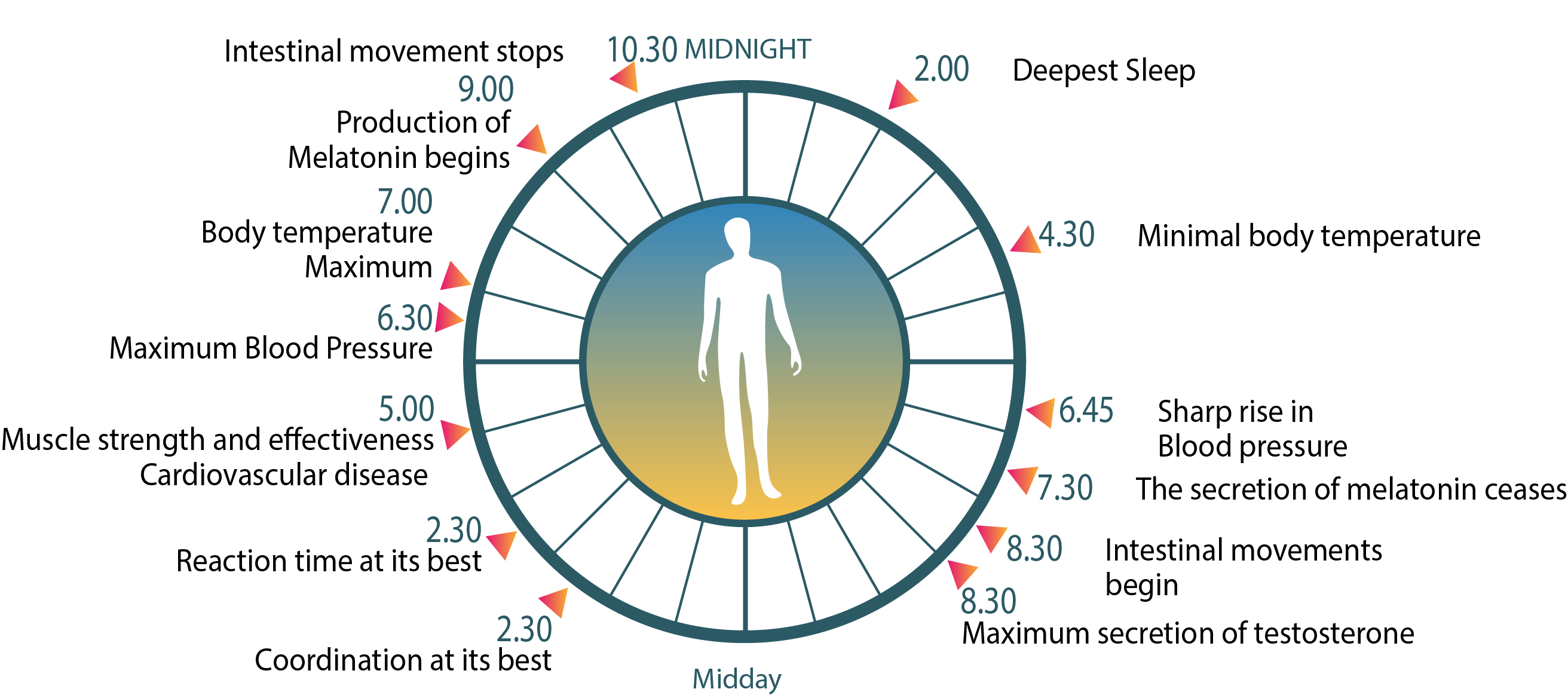 Biodynamic Lighting - myunilux