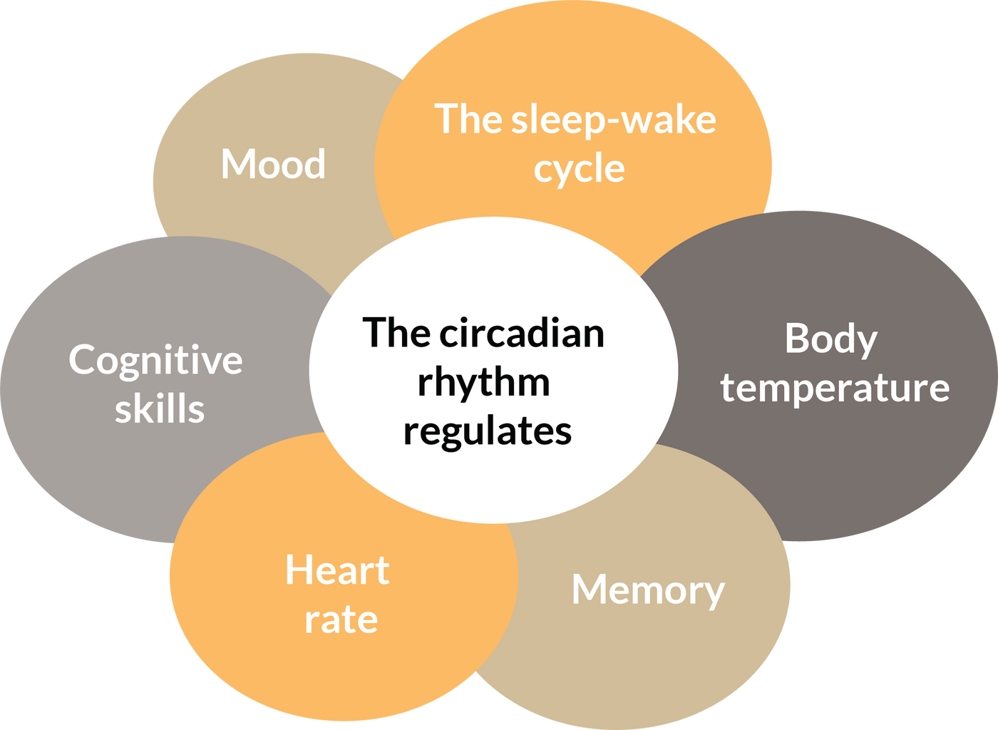 Biodynamic Lighting - myunilux
