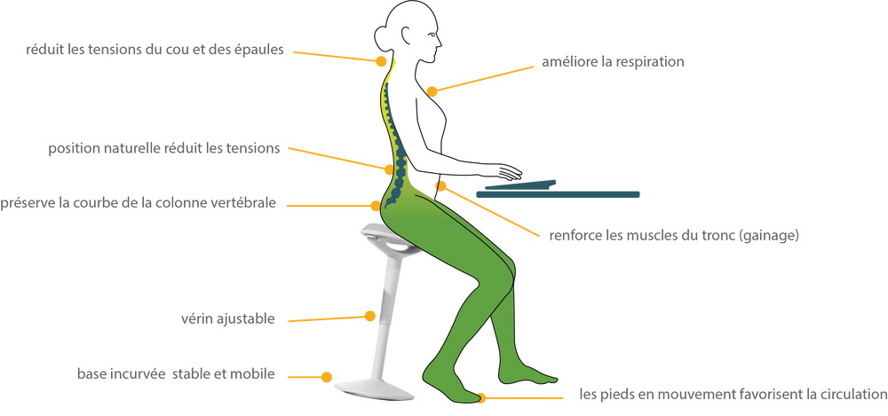 Posture de travail - myunilux